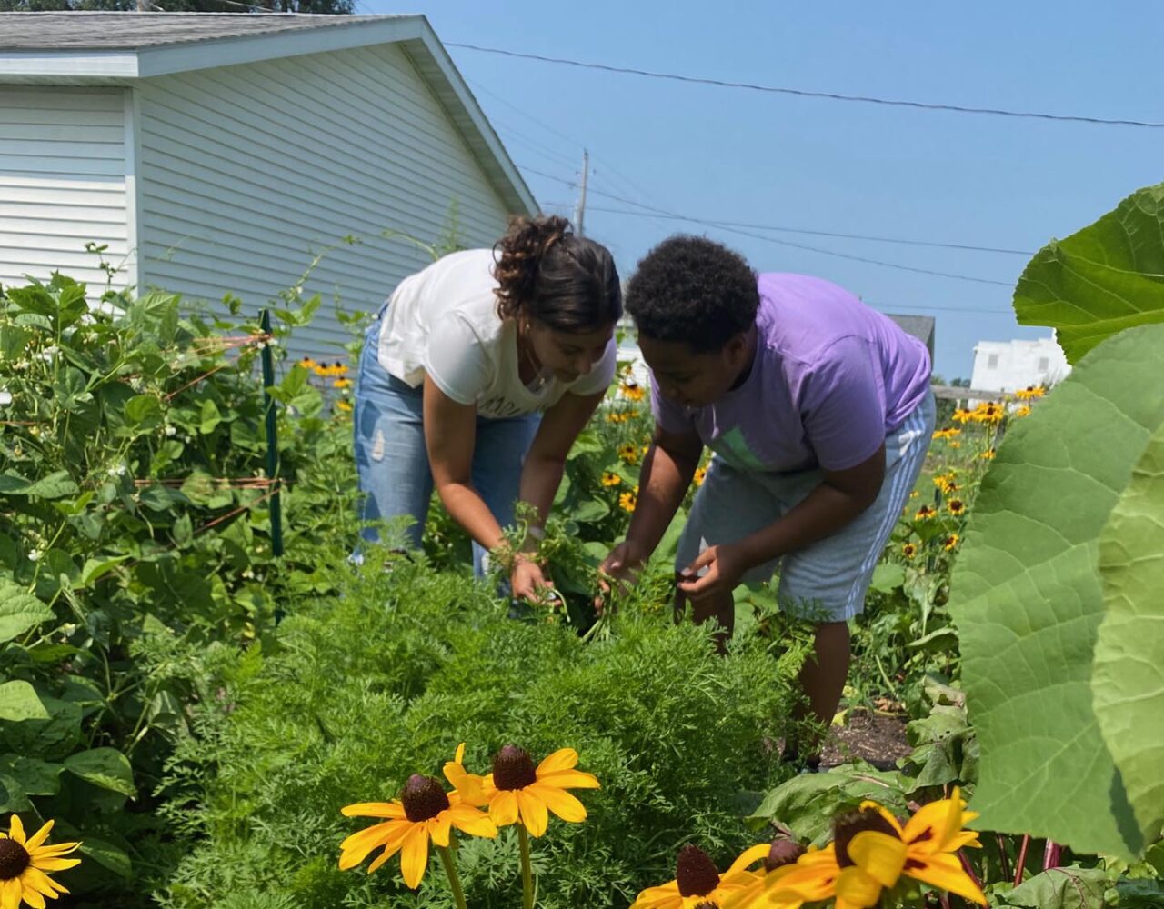 Food Camps - Matthew 25